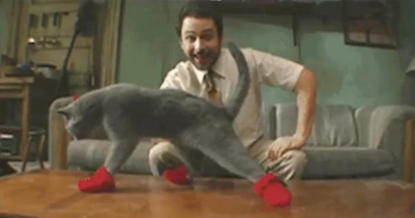 ComOFF: Skrupskøre GIF'er genoplives for fuld musik - Computerworld